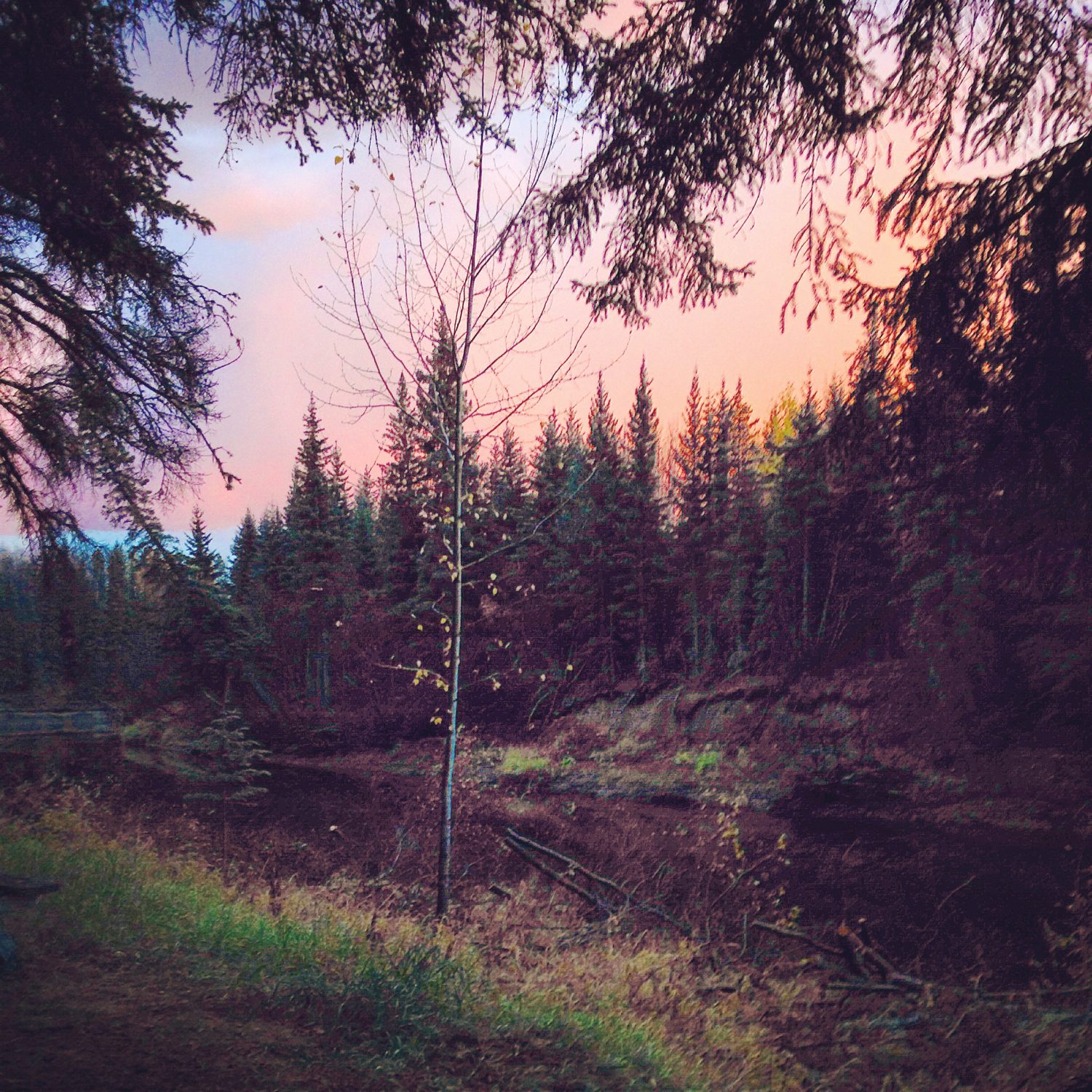 Home - Chinchaga River Hunts