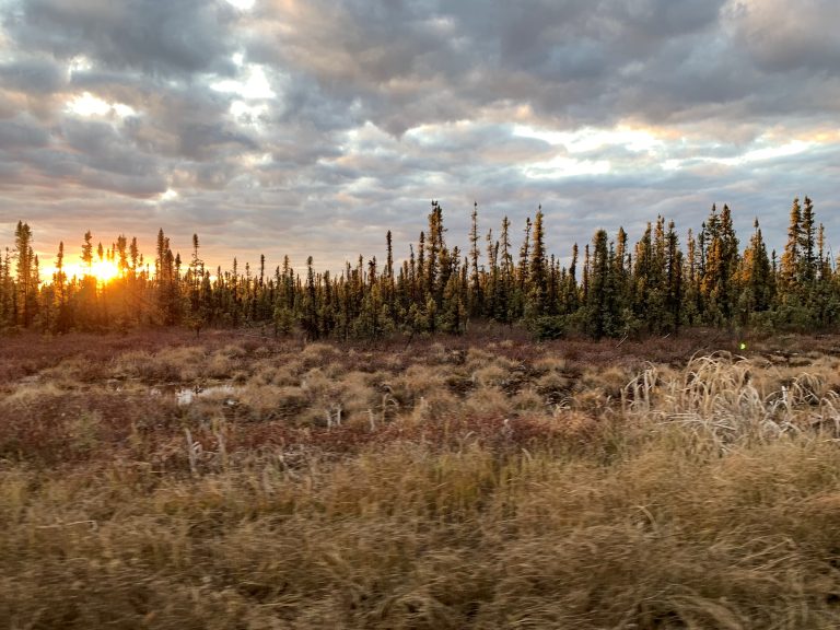 Photo Gallery 2019 - Chinchaga River Hunts