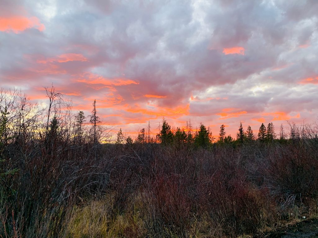 Photo Gallery 2019 - Chinchaga River Hunts