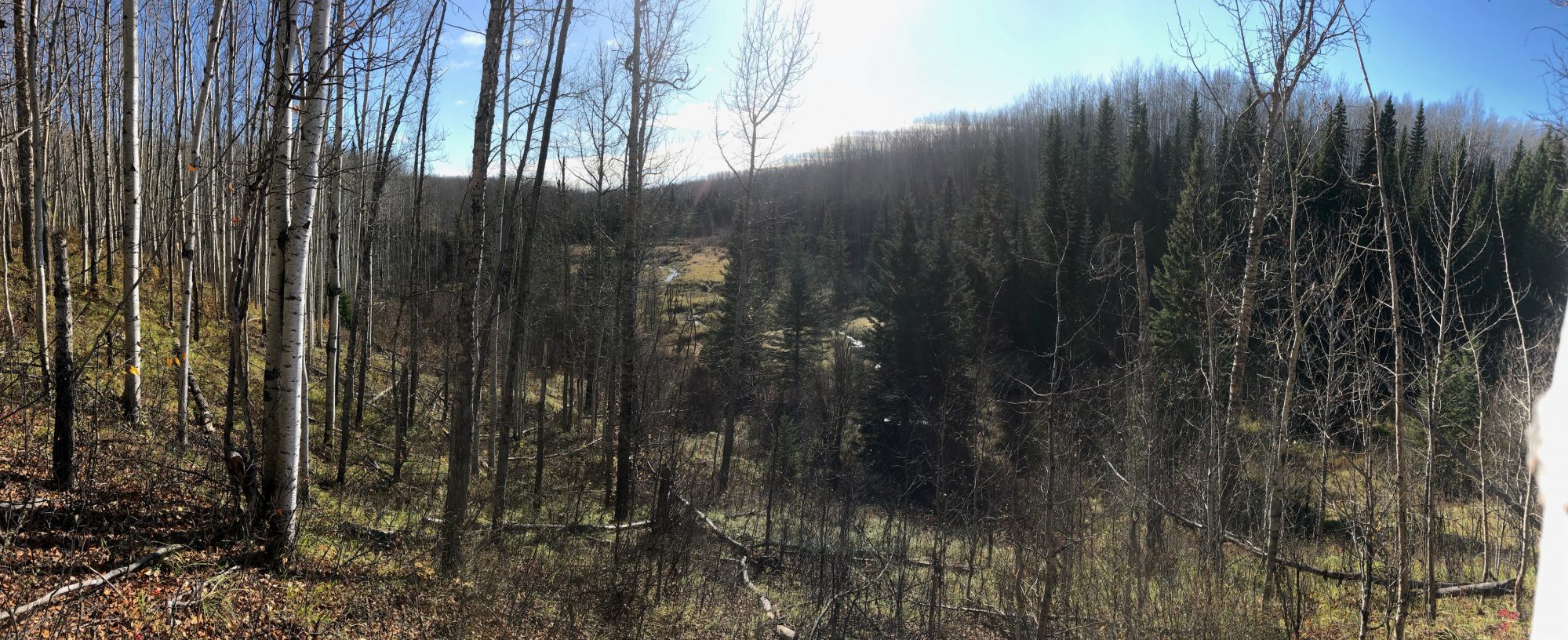 Photo Gallery 2019 - Chinchaga River Hunts