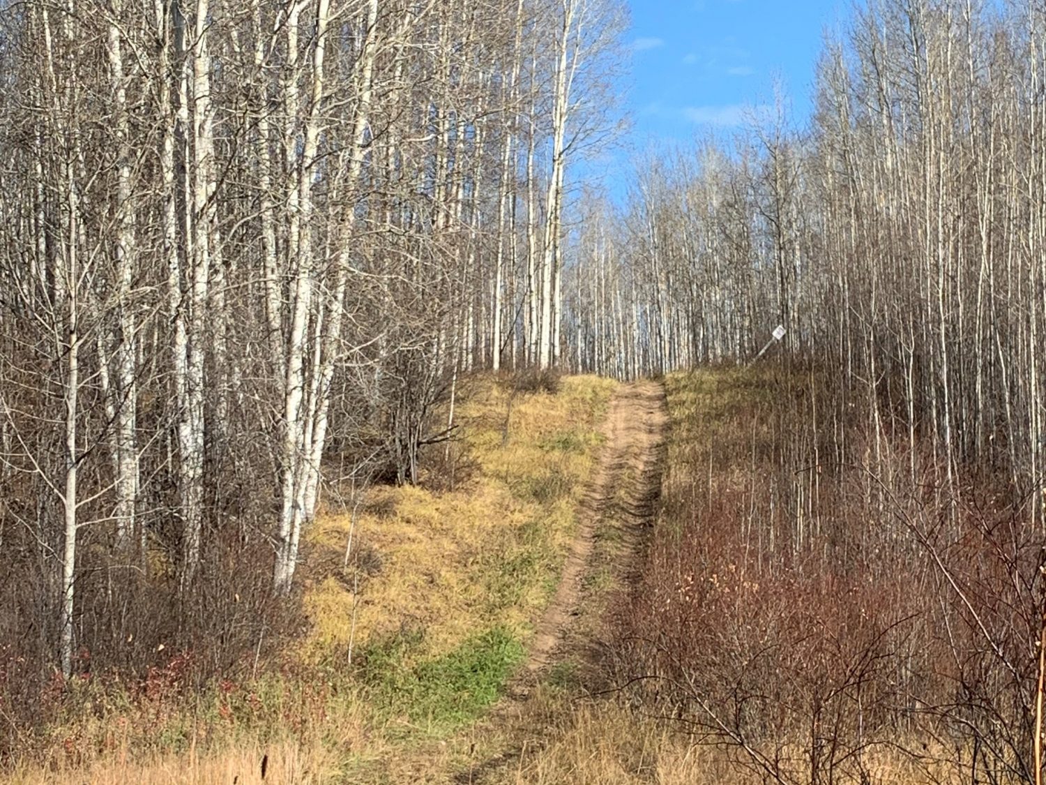 Photo Gallery 2019 - Chinchaga River Hunts