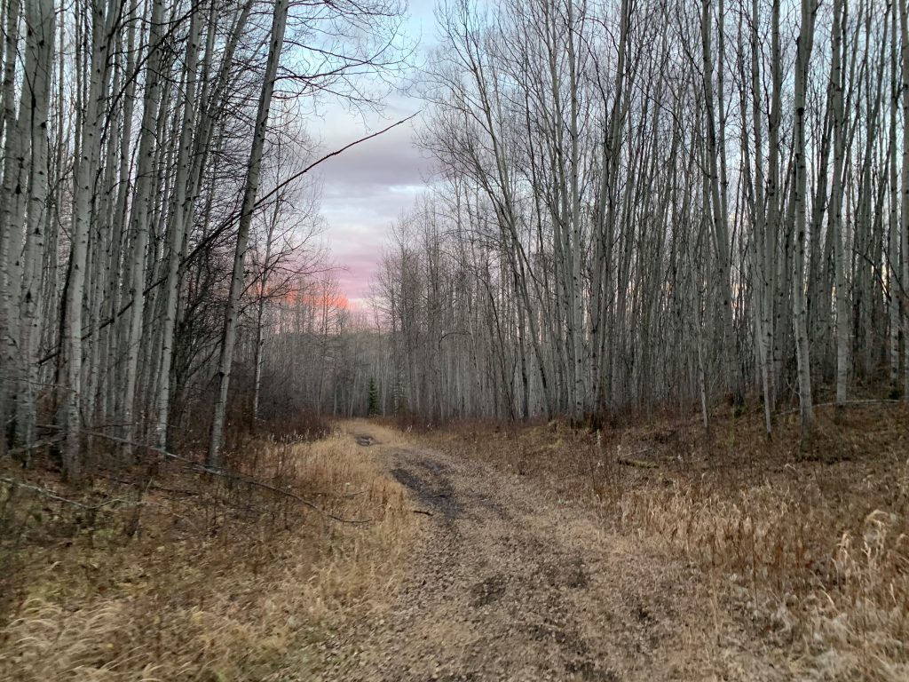 Photo Gallery 2019 - Chinchaga River Hunts