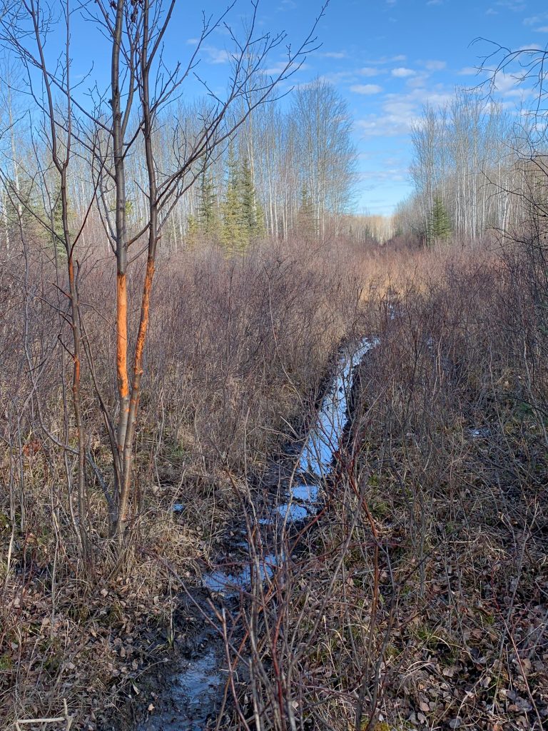 Photo Gallery 2019 - Chinchaga River Hunts