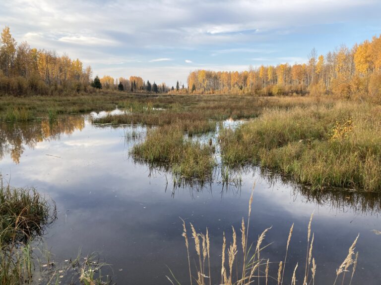 Photo Gallery 2022 - Chinchaga River Hunts